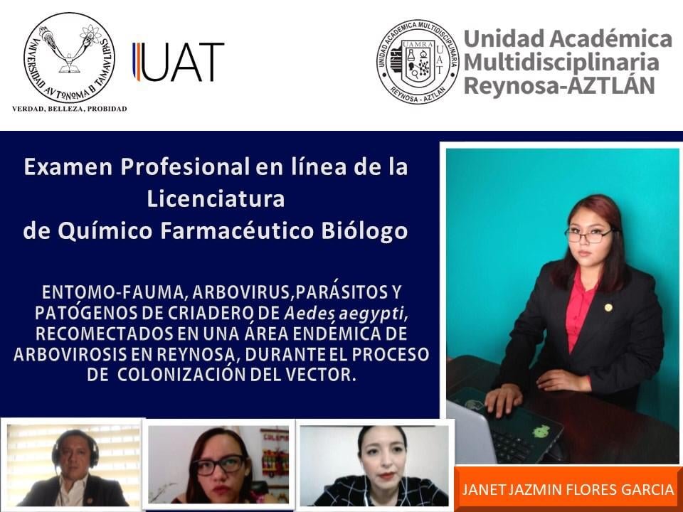 Egresados de la UAM Reynosa Aztlán presentan en línea examen ...